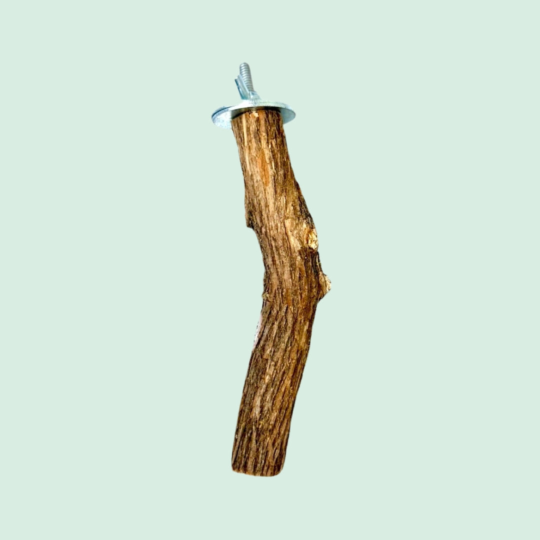 All Products – Everything Birds