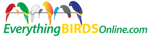 Available Birds – Everything Birds