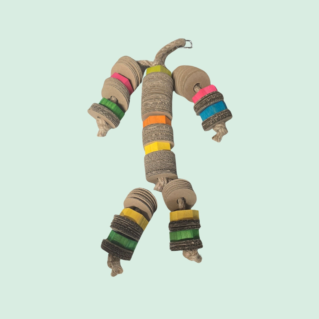 LL04 – Everything Birds