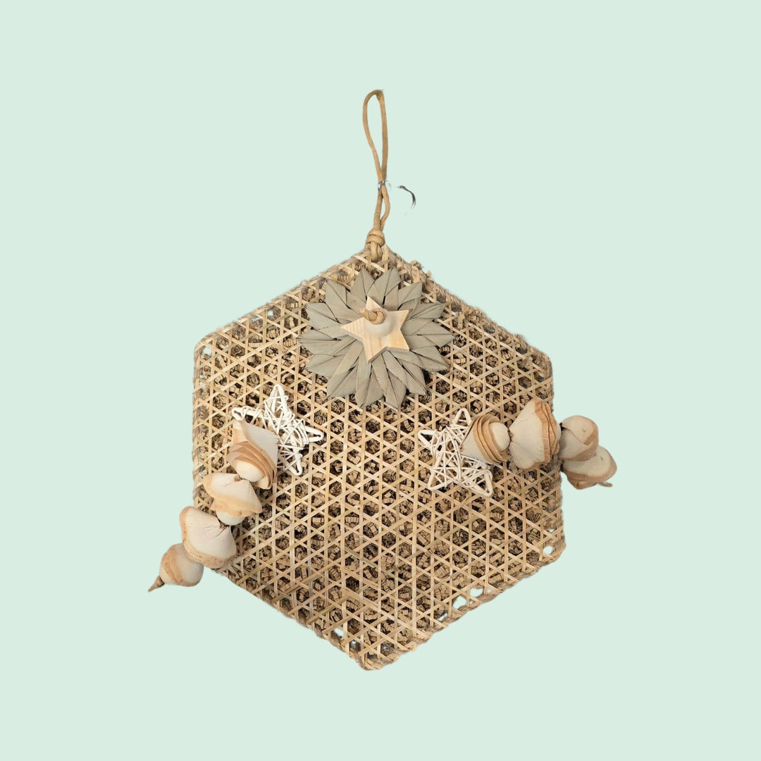 LL23 – Everything Birds